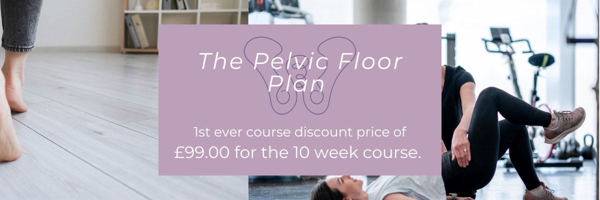 The Pelvic Floor Plan (PFP) - Pilates Avenue